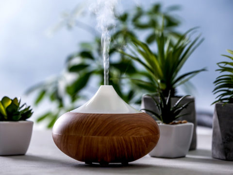Health Benefits of Diffusing Essential Oils | Sunshine Rising